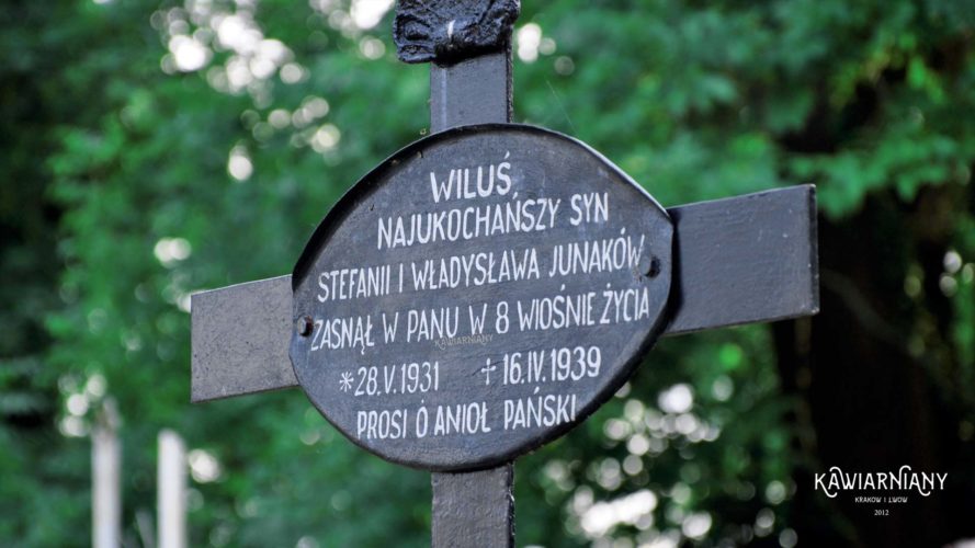 Tak wygląda Cmentarz Katolicki przy Truskawieckiej w Drohobyczu ...