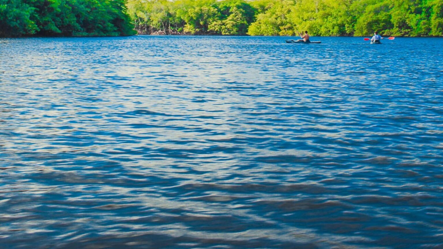Jaka rzeka przepływa przez Wrocław. Rzeka w jaka rzeka wpada do Odry